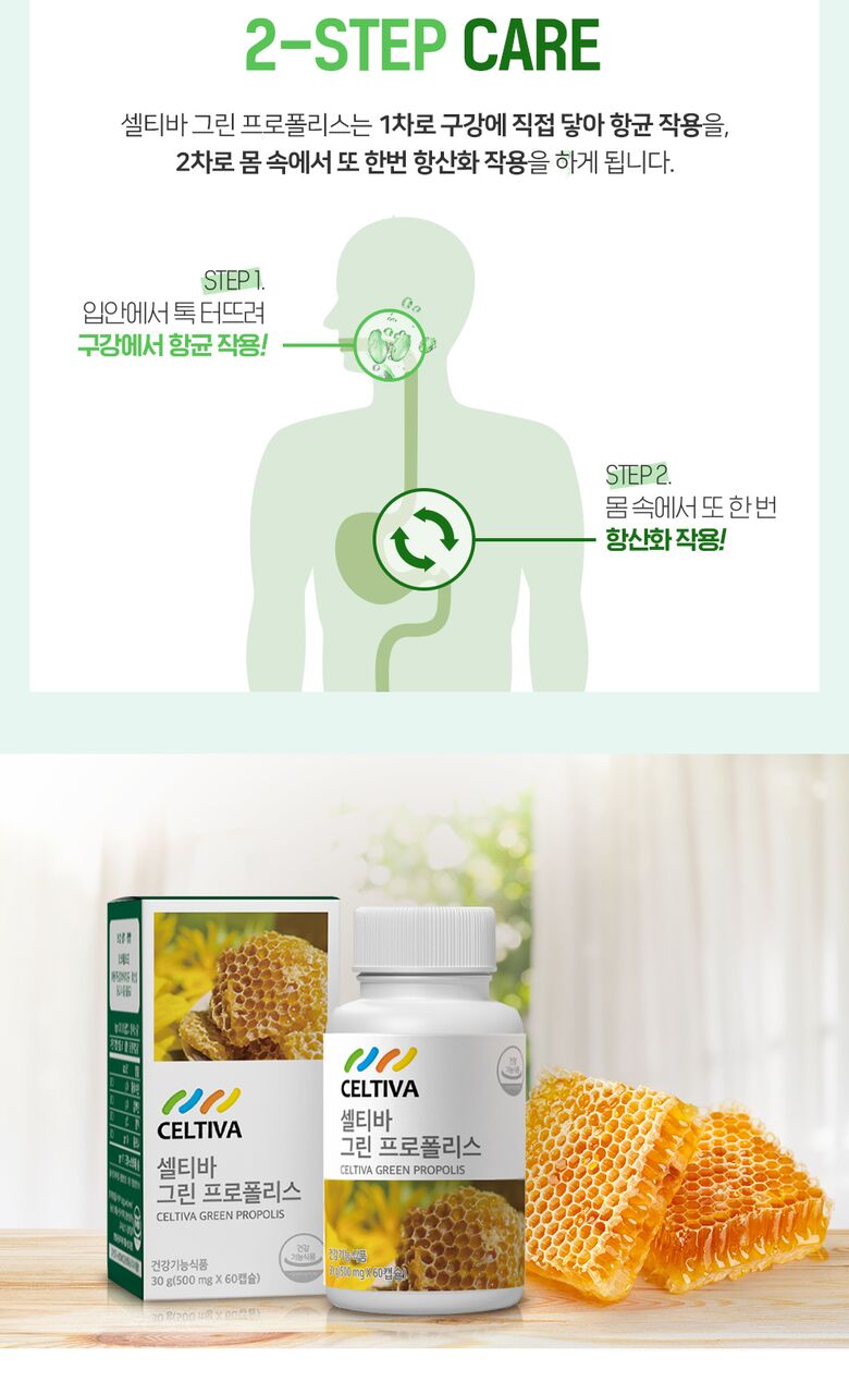 더블 브라질산 그린프로폴리스 셀티바 그린프로폴리스 12개월분500mg60캡슐12병